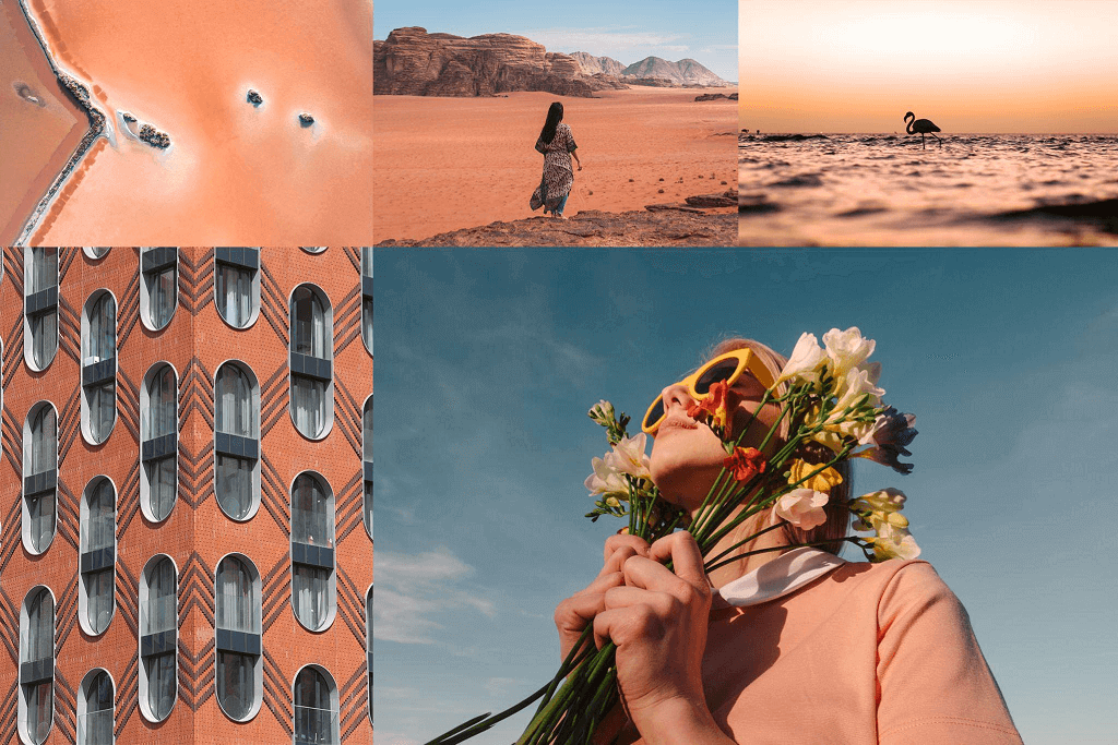 Тренды цветов 2025: актуальные палитры для дизайна